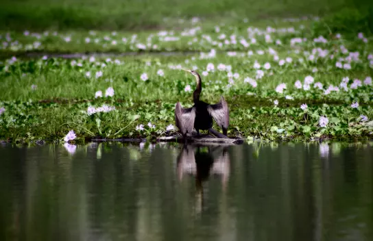 World Water Day 2015 | Veolia Africa